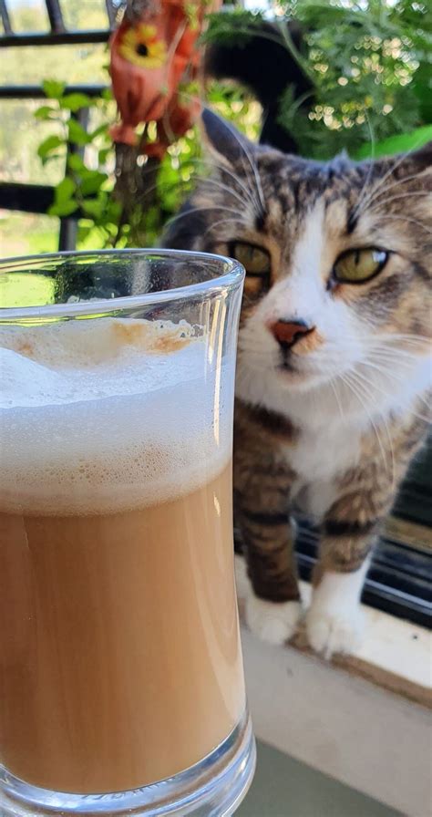 Moran Obstbaum On Linkedin מגייסים ומגייסות שלחו הודעה 📢💪 פיזיקאי