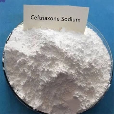 Ceftriaxone Sodium Sterile Cas No 74578 69 1 At Best Price In Dombivli Logus Labortries Pvt Ltd