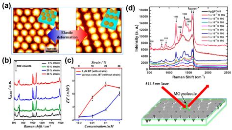 Nanomaterials Free Full Text Recent Development And Applications Of Stretchable Sers Substrates