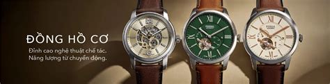 Đồng Hồ Cơ Nam Fossil Chính Hãng Ưu đãi Hấp Dẫn