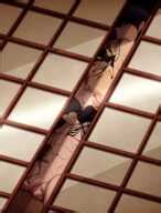 Post Bleach Ichigo Kurosaki Sui Feng Tensa Zangitsu