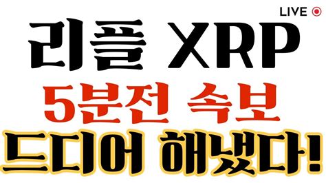 리플 코인 5분전 긴급속보 리플ceo 드디어 해냈다 Xrp 1만원 폭등각 리플목표가 리플호재 리플전망 리플코인