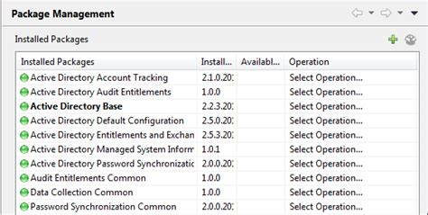Installing Or Upgrading Packages Netiq Designer For Identity Manager Administration Guide