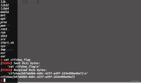 Ctfshow Pwn 栈溢出（pwn40）ctfshow Pwn40 Csdn博客