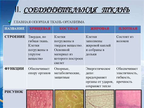 Ткани 1 Online Presentation