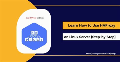 Configure Dns On Linux For Reliable Domain Resolution