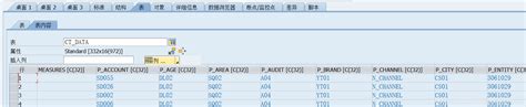 sap bpc开发：对abaper的快速扫盲 sap bpc界面 csdn博客