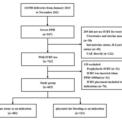 Flowchart Iubt Intrauterine Balloon Tamponade Pph Postpartum