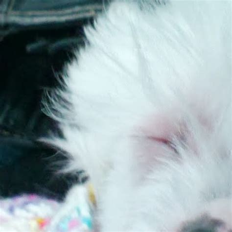 Elsebeth Rasmussen Youtube