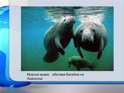 природни зони в южна америка подобрен вариант Ppt