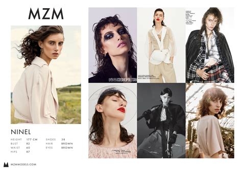 MZM Ninel