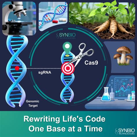 Synbio Meet Sgrna — The “gps” That Gives Crispr Its Precision 🧭🔍 Crispr Provides The Editing