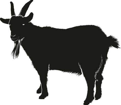 Over 100 Free Goat Vectors Pixabay