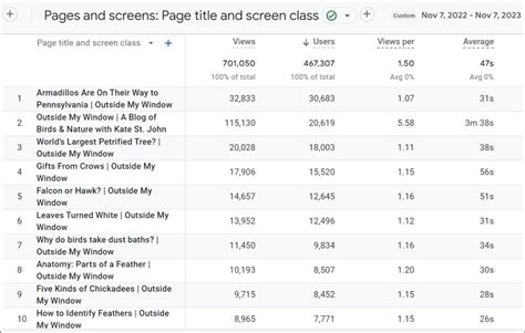 Sixteen Years Exterior My Window