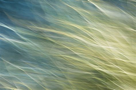 Grass Artwork Interior Design Artwork Angela Cameron