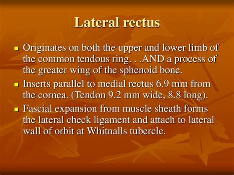 Extraocular Muscles Eom And Eye Movement Ppt Download