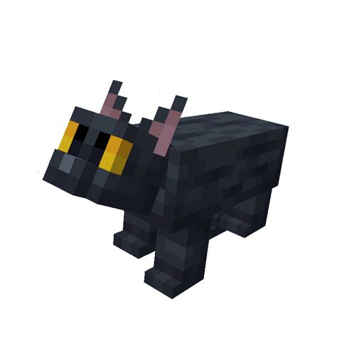 Black Cat Minecraft