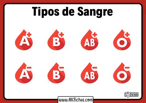 Tipos De Sangre Y Grupos Sanguíneos Que Existen