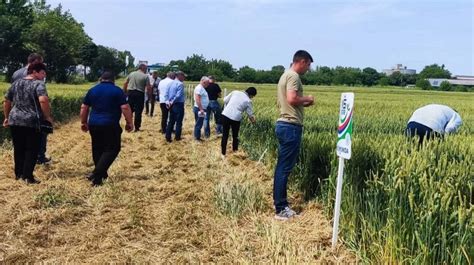 Подршка пољопривредницима