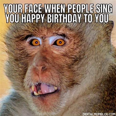 Hilarious Happy Birthday Meme