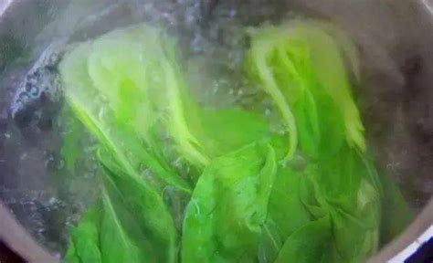 简单的酸菜做法油菜加上水泡一炮酸爽清脆配肉吃还能解腻 方法