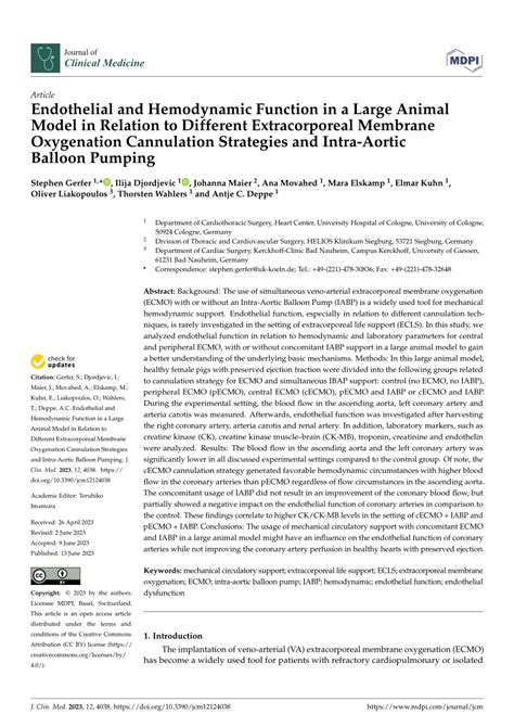 Pdf Endothelial And Hemodynamic Function In A Large Animal Model In