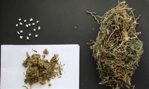 Dois Suspeitos De Tráfico De Drogas Ficam Em Prisão Preventiva Em São