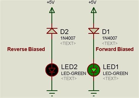 1n4007 Diode Pinout Features Explained With Example Circuits Vrogue