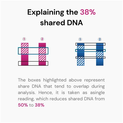 How Much Dna Do Siblings Share And What Does It Signify