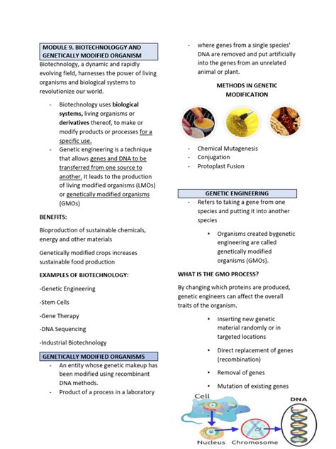 Finals Sts Pdf Gene Therapy Genetically Modified Organism