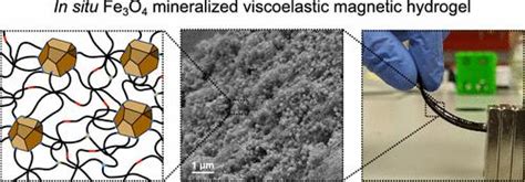 金属配位聚合物网络中氧化铁原位矿化的软粘弹性磁性水凝胶 Acs Applied Materials And Interfaces X Mol
