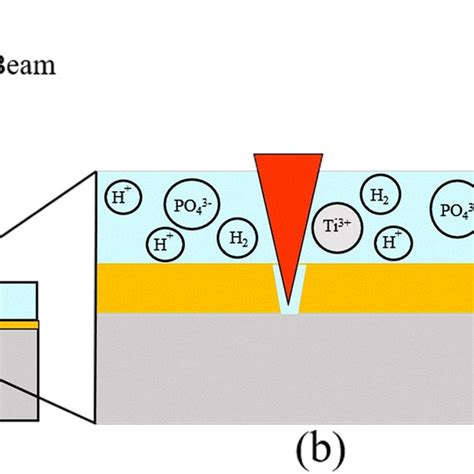 The Initial Microstructure Of A Titanium Alloy Grade 5 Download Scientific Diagram
