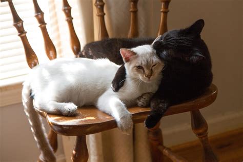 Document Classification With Power Automate And Azure Ai