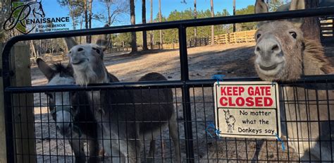 R Lazy S Ranch R Lazy S Ranch Added A New Photo — At R