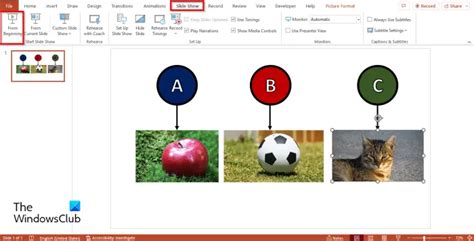 Make Text Images Objects Appear One By One In Powerpoint