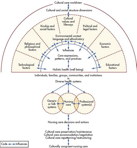 Leiningers Cultural Care Nursing Theory Elzks