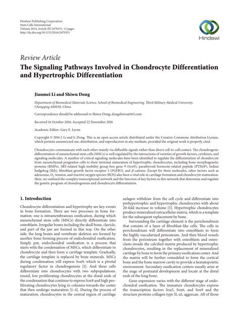 Pdf The Signaling Pathways Involved In Chondrocyte Differentiation