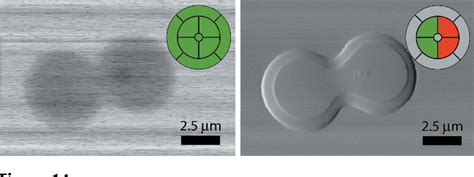 Figure 1 From Differential Phase Contrast With A Segmented Detector In