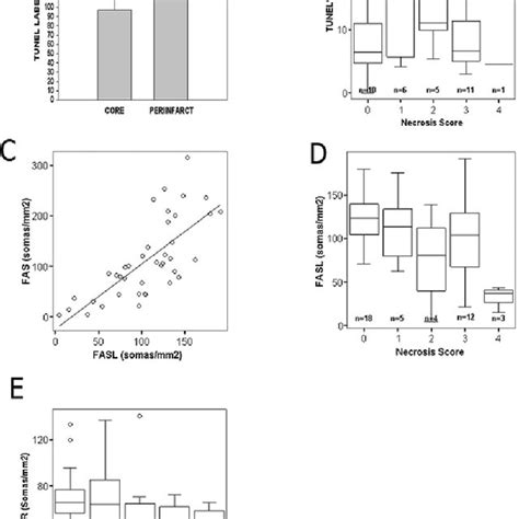 Tissue Sampling And Histopathological Scoring Tissue Sampling Was Download Scientific Diagram