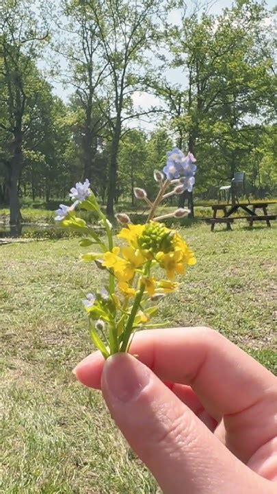 프랑스🇫🇷 프랑스 시골에서 짧은 휴식 ️파리 프랑스 힐링 직장인브이로그 파리직장인 프랑스시골 Youtube