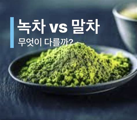 녹차와 말차무엇이 다를까 오프더레코드