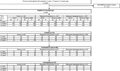 Flow Diagram Of Focus Group Participants Download Scientific Diagram