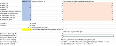 Gait Analysis Flashcards Quizlet