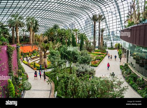 Singapore Gardens By The Bay The Flower Dome Giant Green House Stock