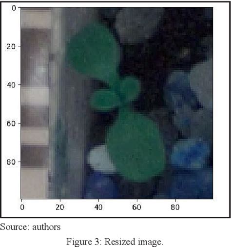 Figure 3 From A Strategic Analytics Using Convolutional Neural Networks For Weed Identification