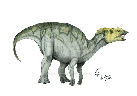 Hadrosaurus Facts And Pictures