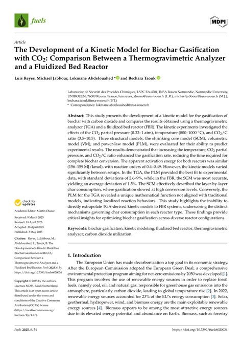 Pdf The Development Of A Kinetic Model For Biochar Gasification With Co2 Comparison Between A