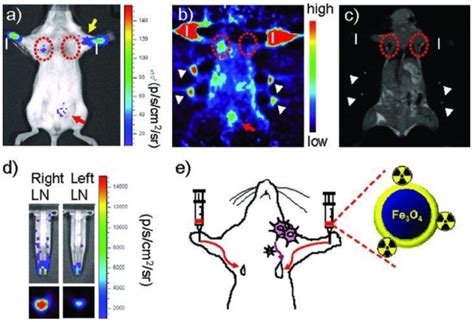 Triple Modality Imaging Of Radiolabeled Nanoparticles A Optical B