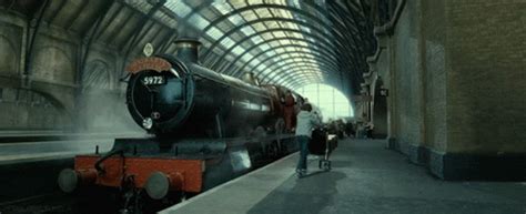 Harry Potter  Harry Potter Discover And Share S