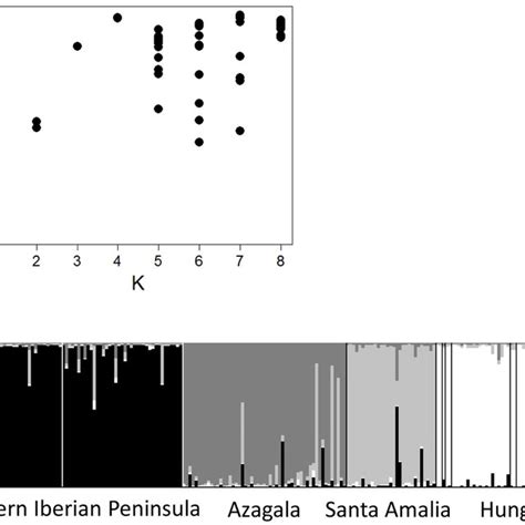Structure Software Results A Log Likelihood Values Ten Independent